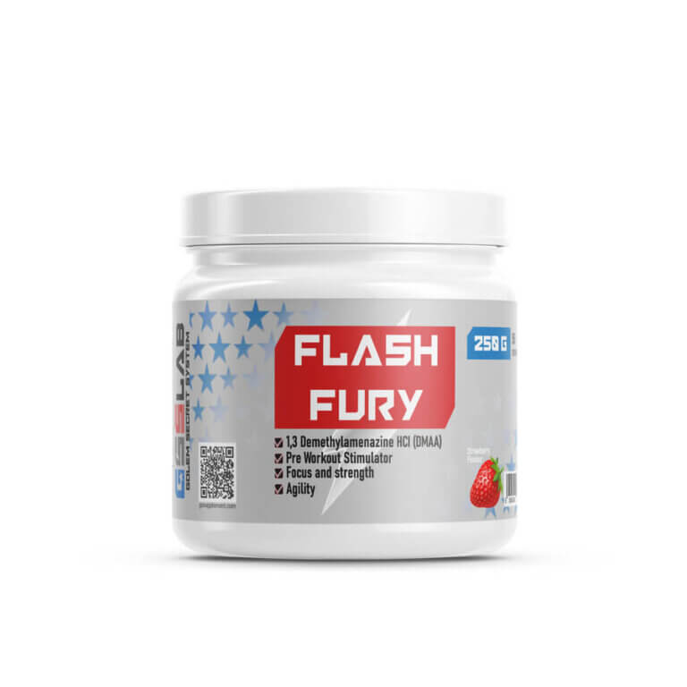 Flash Fury - GSS Lab